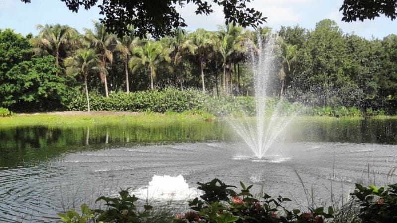 The Importance of AERATION to your Pond or Lake — Aquascape Eco